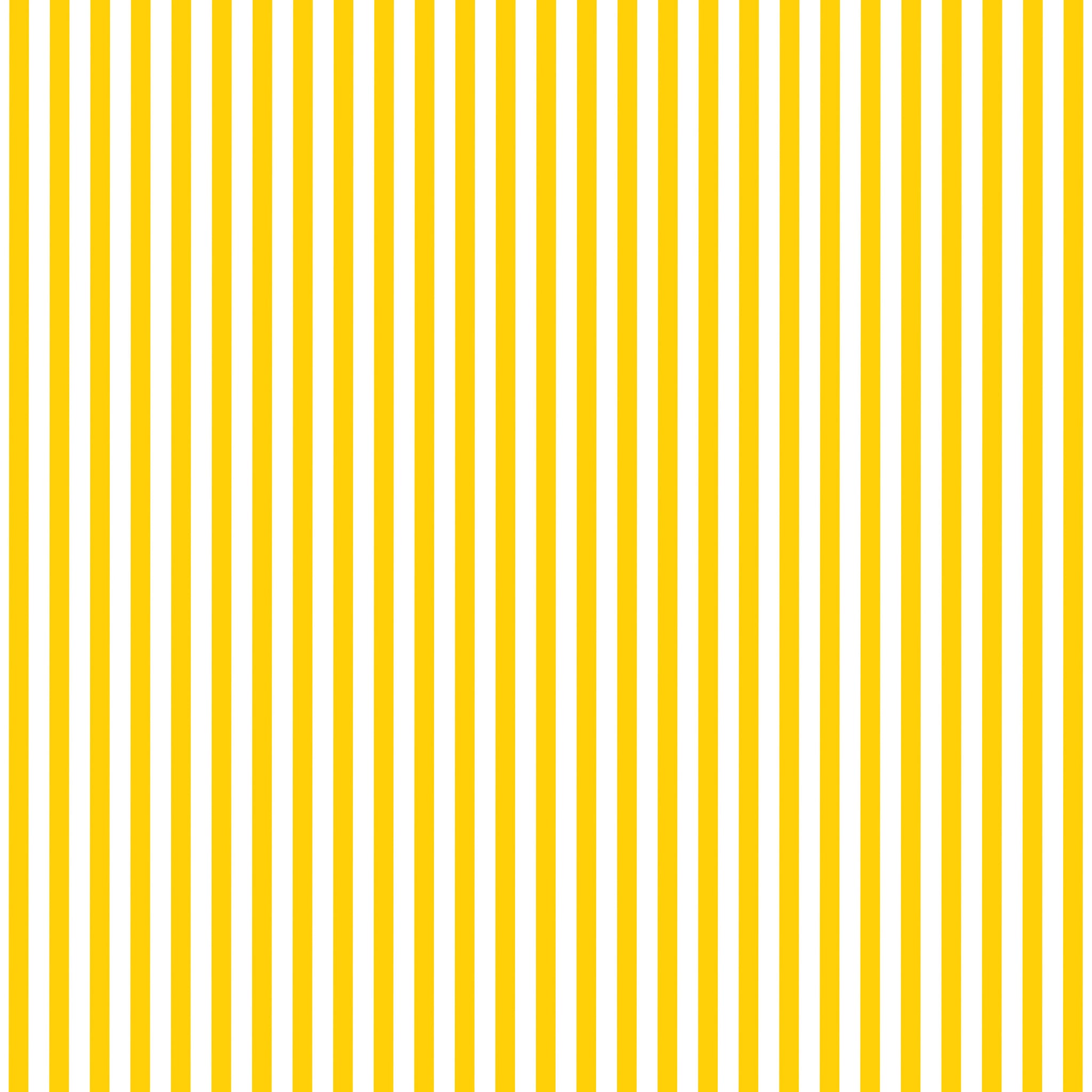 | Vinyl Boutique Shop